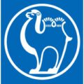 Camel Group Co..Ltd. (International) - Battery-Tech Network