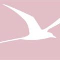 Elbow Beach - Battery-Tech Network